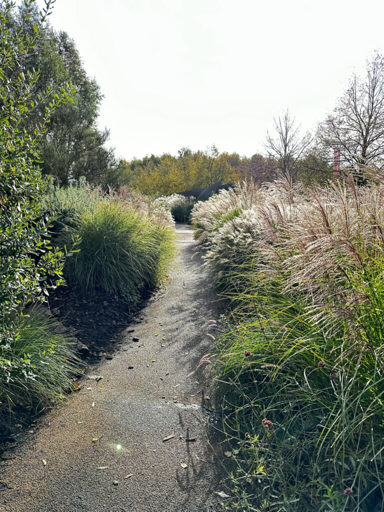 Inspiration in a damp climate | fabrik